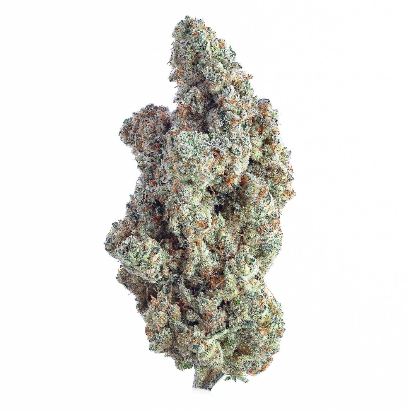 Grandpa's Cookies #5 (Classic) Strain | East boston, MA | Happy Valley